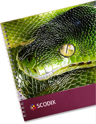 Tukaiz Continues to Grow - Tuesdays With Tukaiz